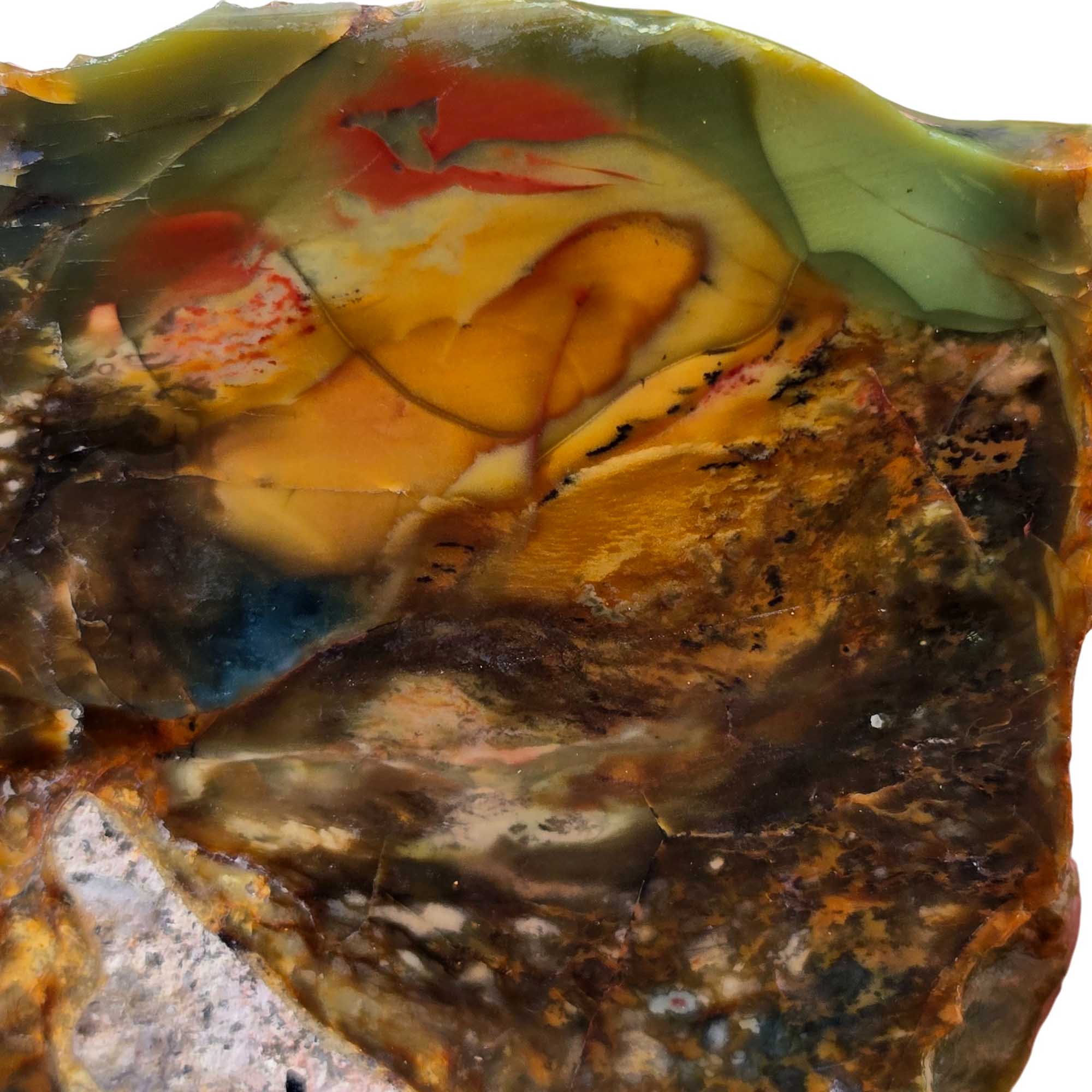 Morrisonite Jasper Slab - Green Butterscotch Red - Oregon Old Stock