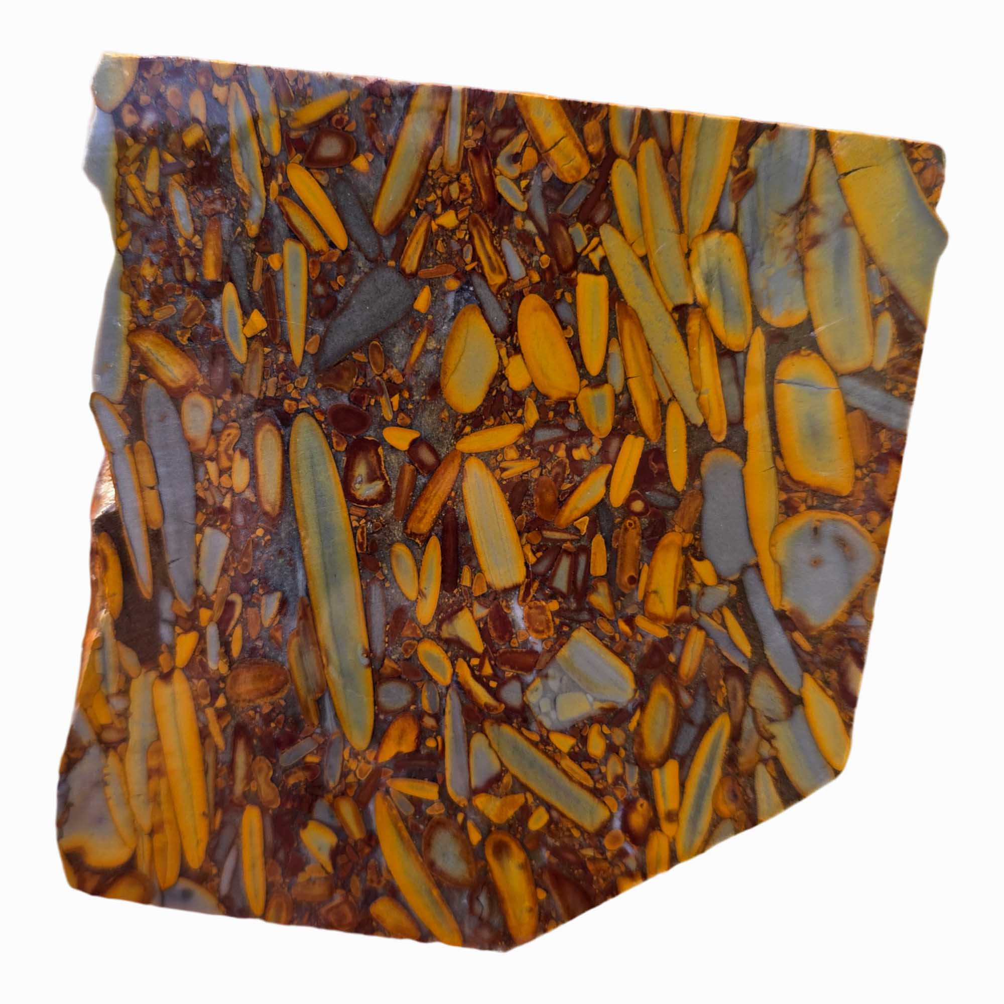 Bamboo Jasper Slab - Conglomerate Pattern - Indonesian Premium