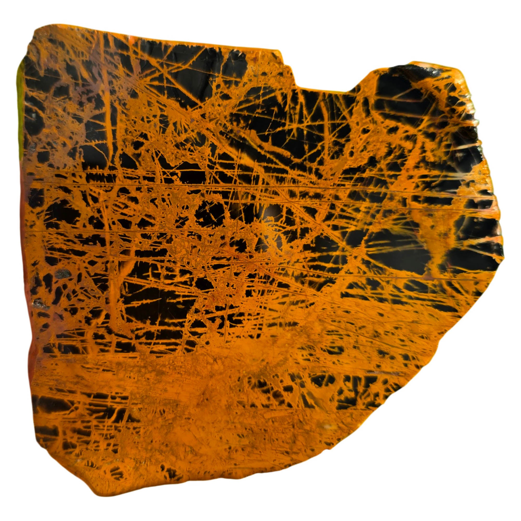 Pilbara Jasper Slab - Black Coffee - Ultra-Rare Australian