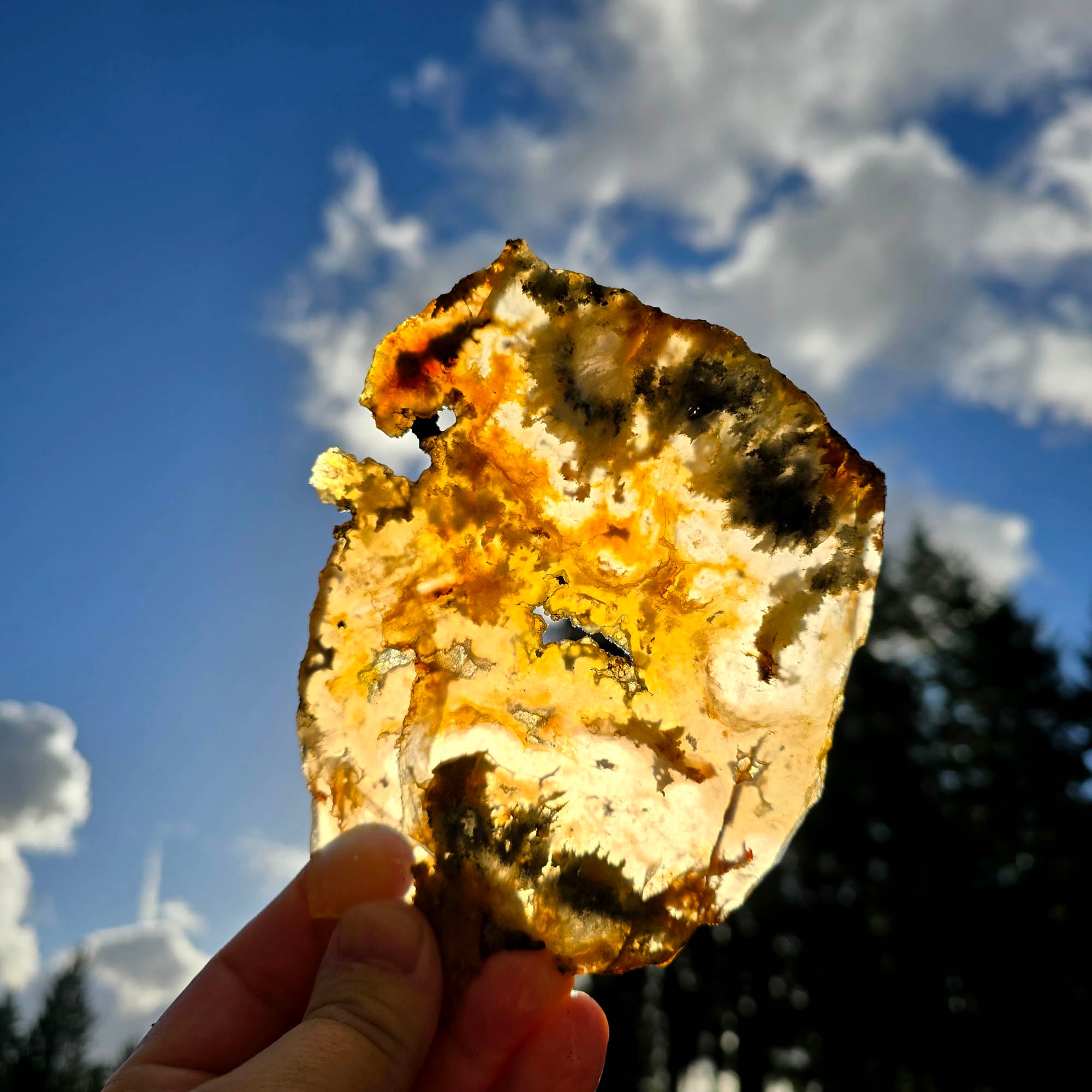 Regency Rose Plume Agate Slab - Wispy Plume - Oregon Graveyard