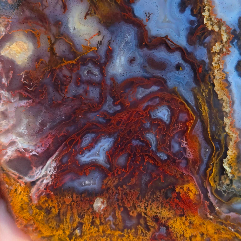 San Carlos Agate - Moss Druzy Blue Banding Mexican