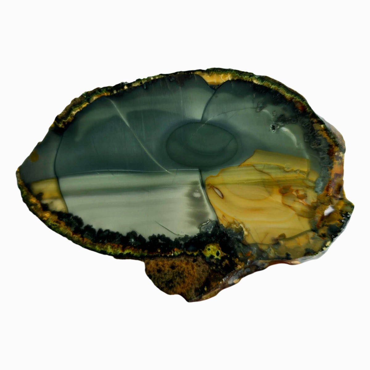 Blue Mountain Jasper Slab - Orbicular Cream - Oregon Classic