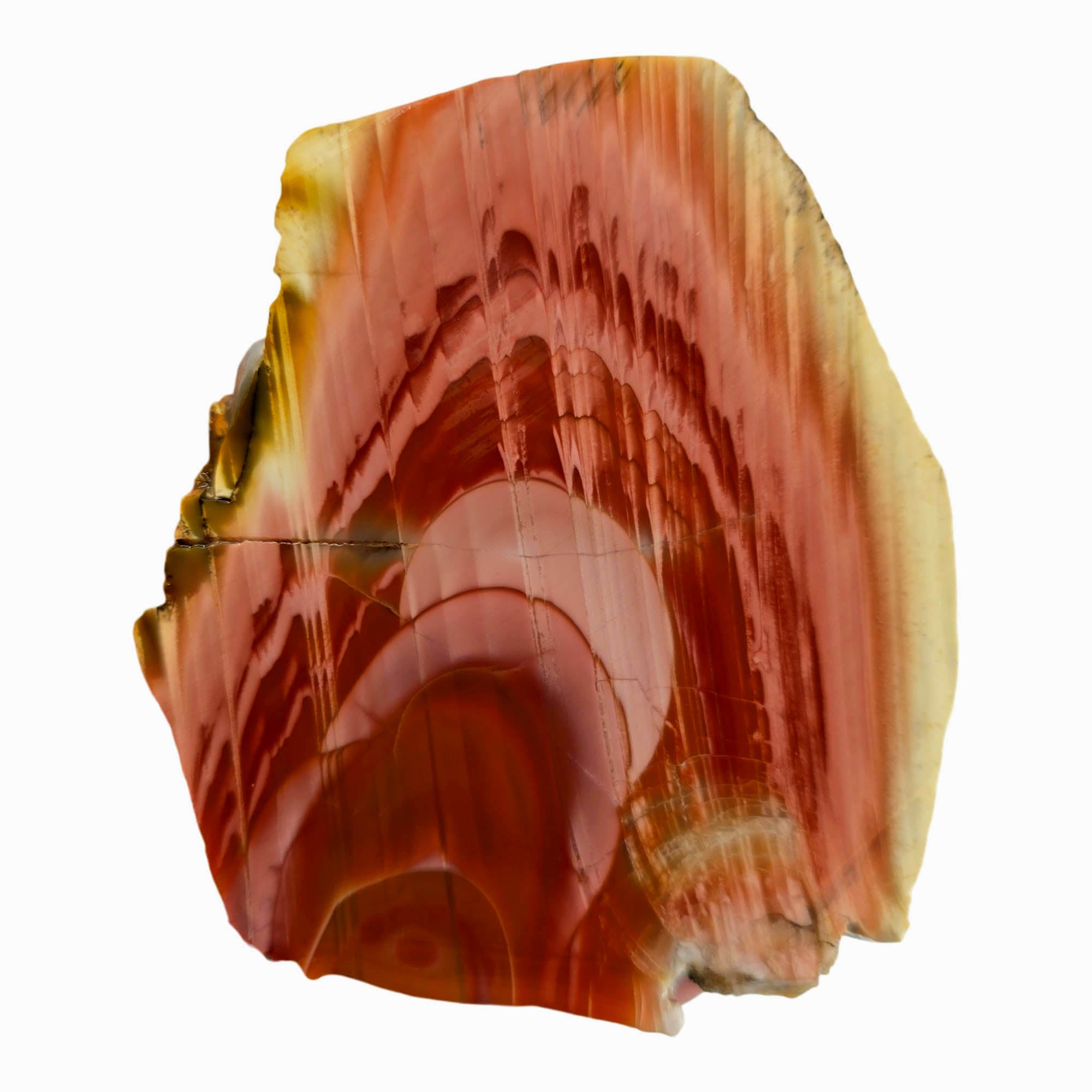 Royal Imperial Jasper Slab - Pink Red Orbs - Mexico