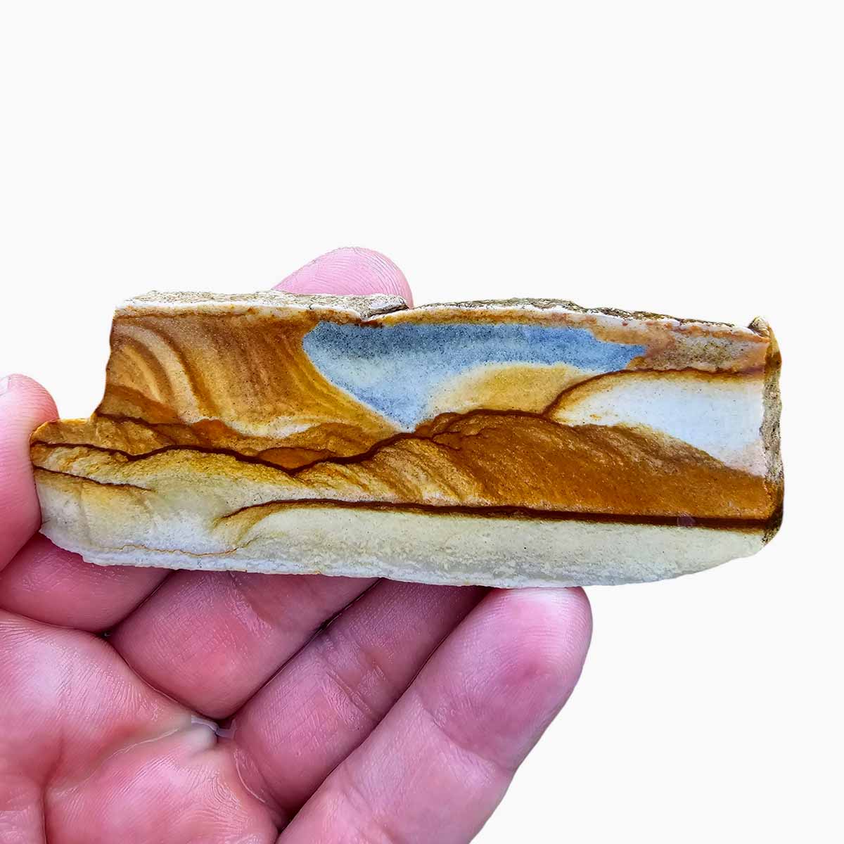 Chicken Track Jasper Slab Lapidary Stone Slab