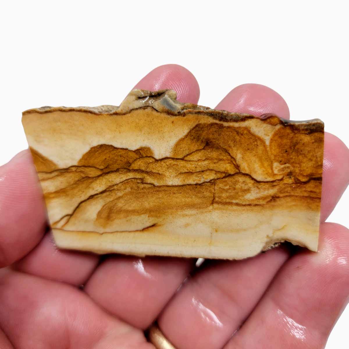 Chicken Track Jasper Slab! Lapidary Stone Slab!