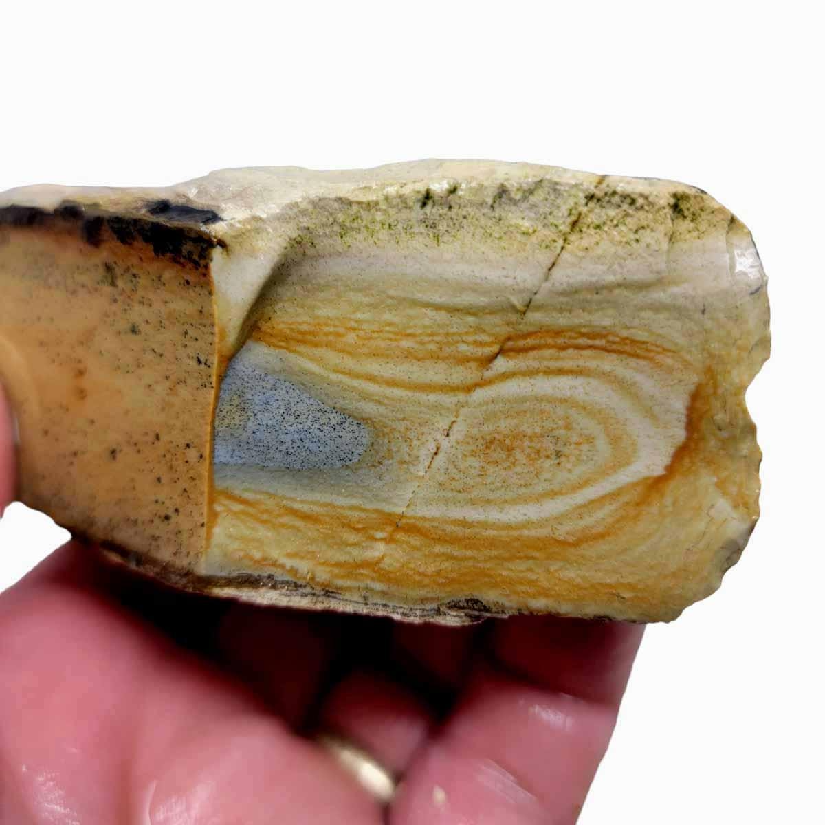 Arroyo Picture Jasper Rough Chunk!