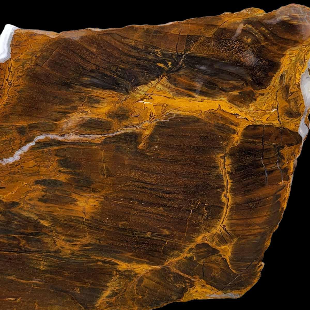 Mystery Estate Petrified Wood Slab! STUNNING!!!!