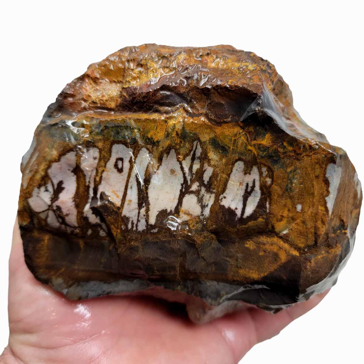 Australian Outback Jasper Rough Chunk!