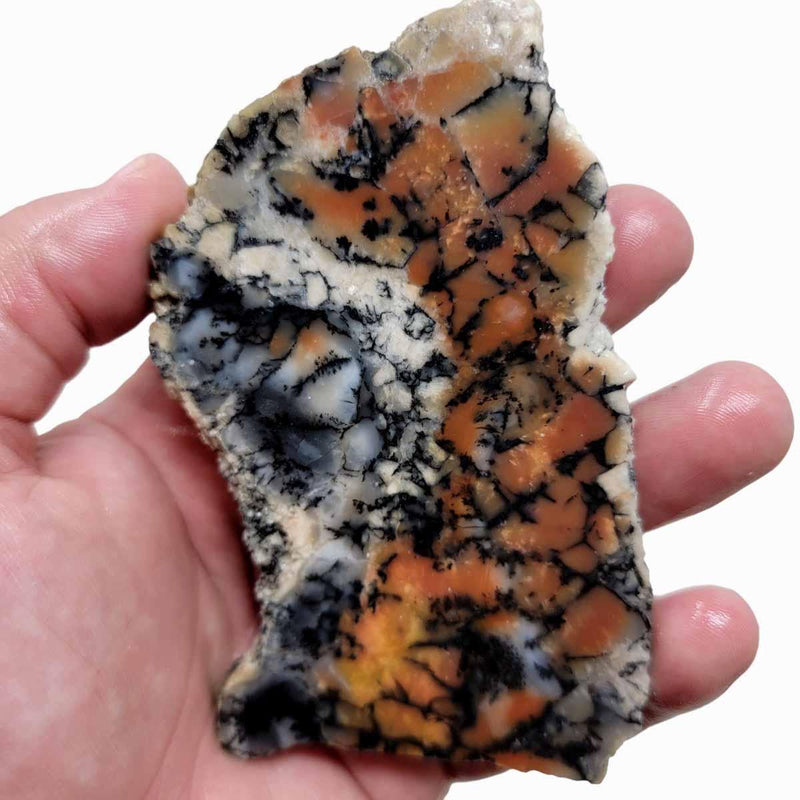 Tiffany Opal Bertrandite Slab! Lapidary Stone Slab!