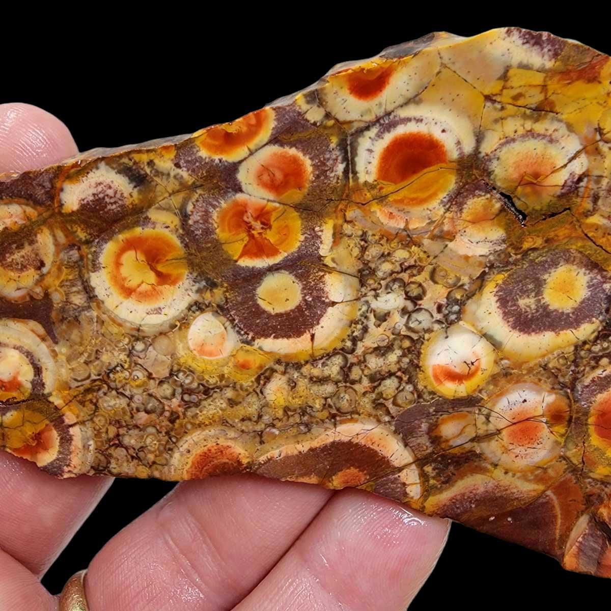 Birdseye Rhyolite Slab! Lapidary Stone Slab!