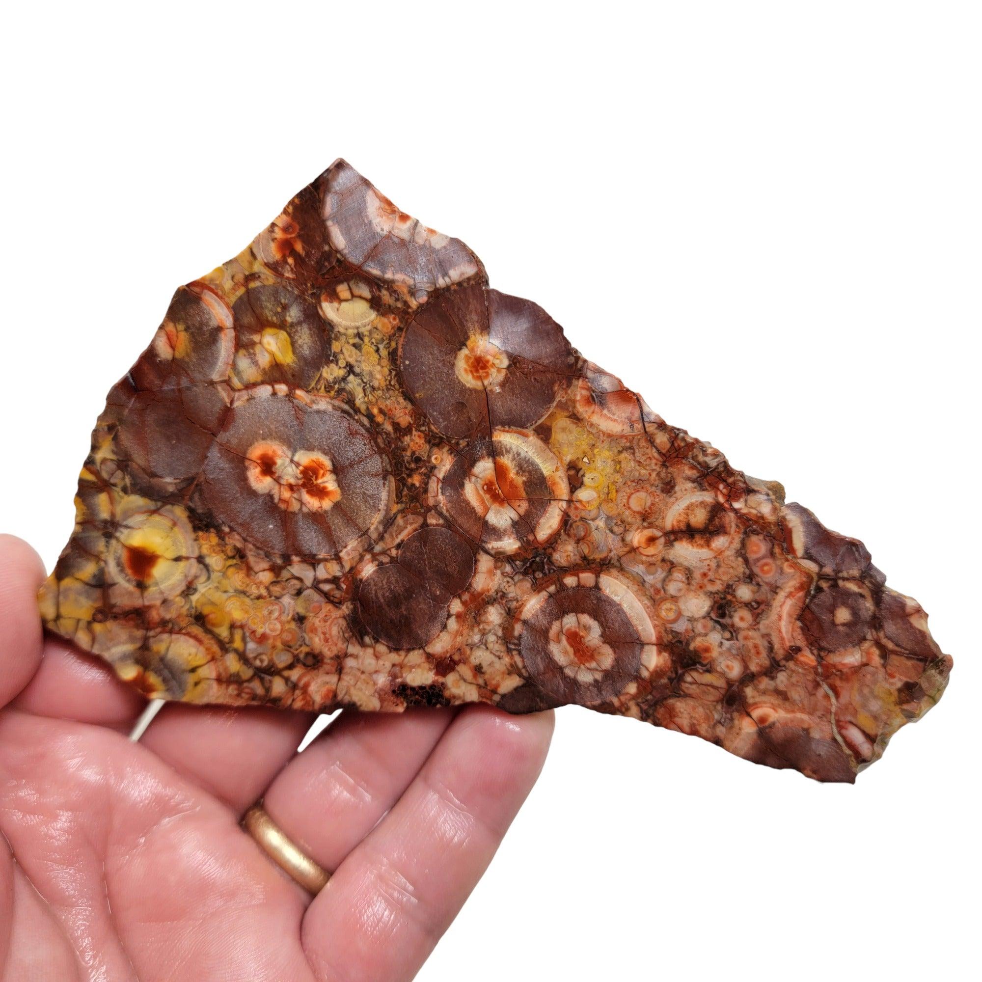 Birdseye Rhyolite Slab! Lapidary Stone Slab!