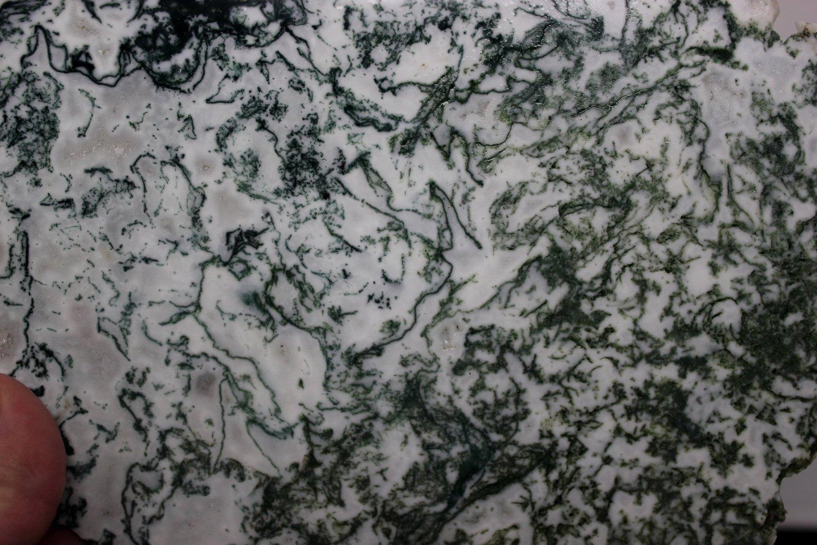 LARGE India Tree Moss Agate Slab! Lapidary Stone Slab!