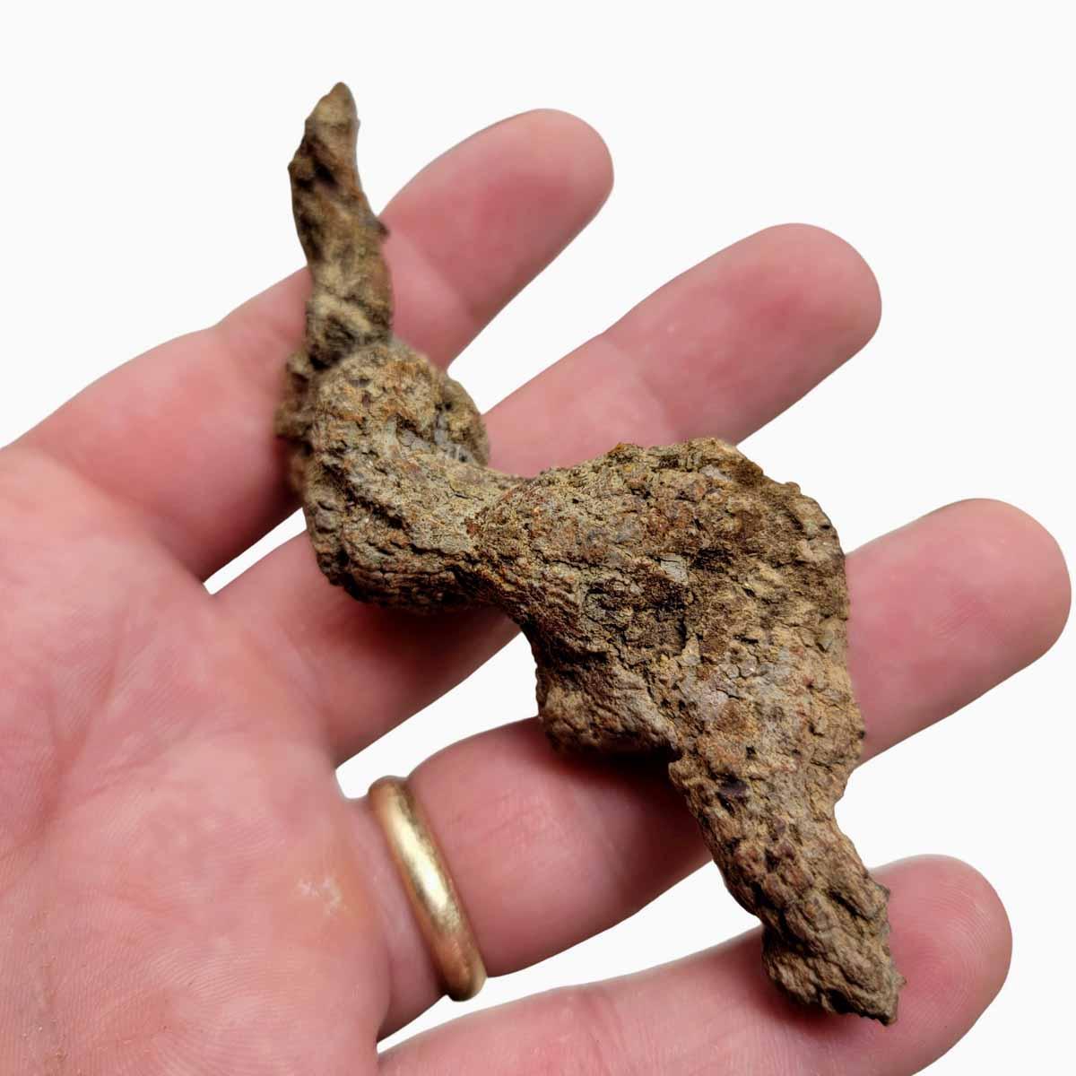 Fossil Madagascar Coprolite Turtle Poo Specimen!