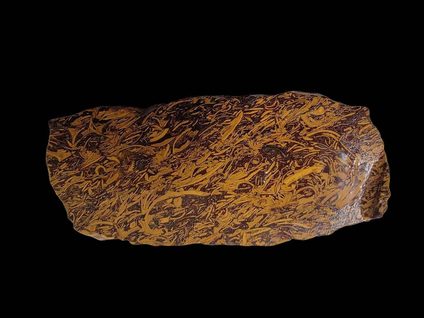 Fossil Script Stone Slab! Lapidary Stone Slab!