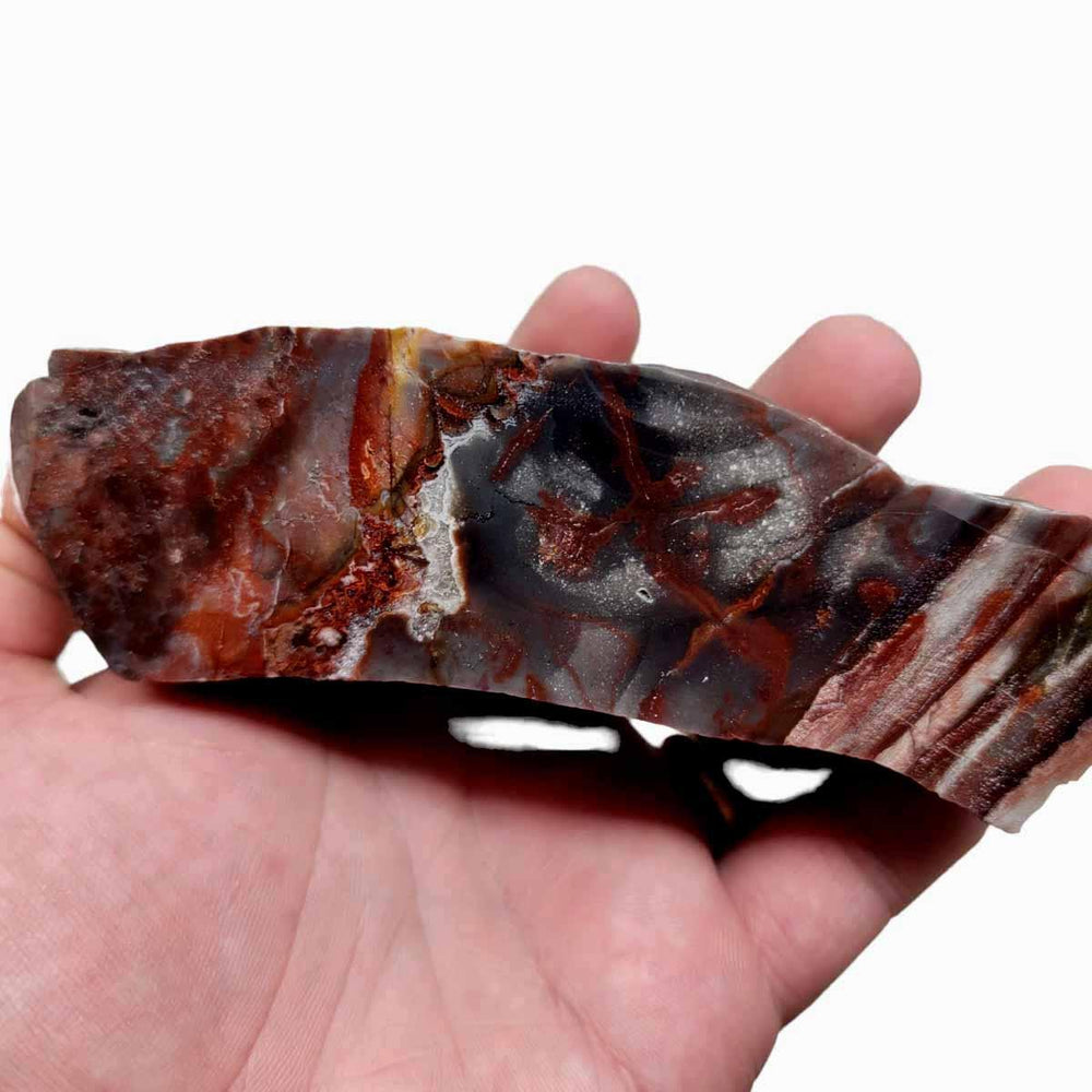 Polished Sarape Jasper Display Specimen!