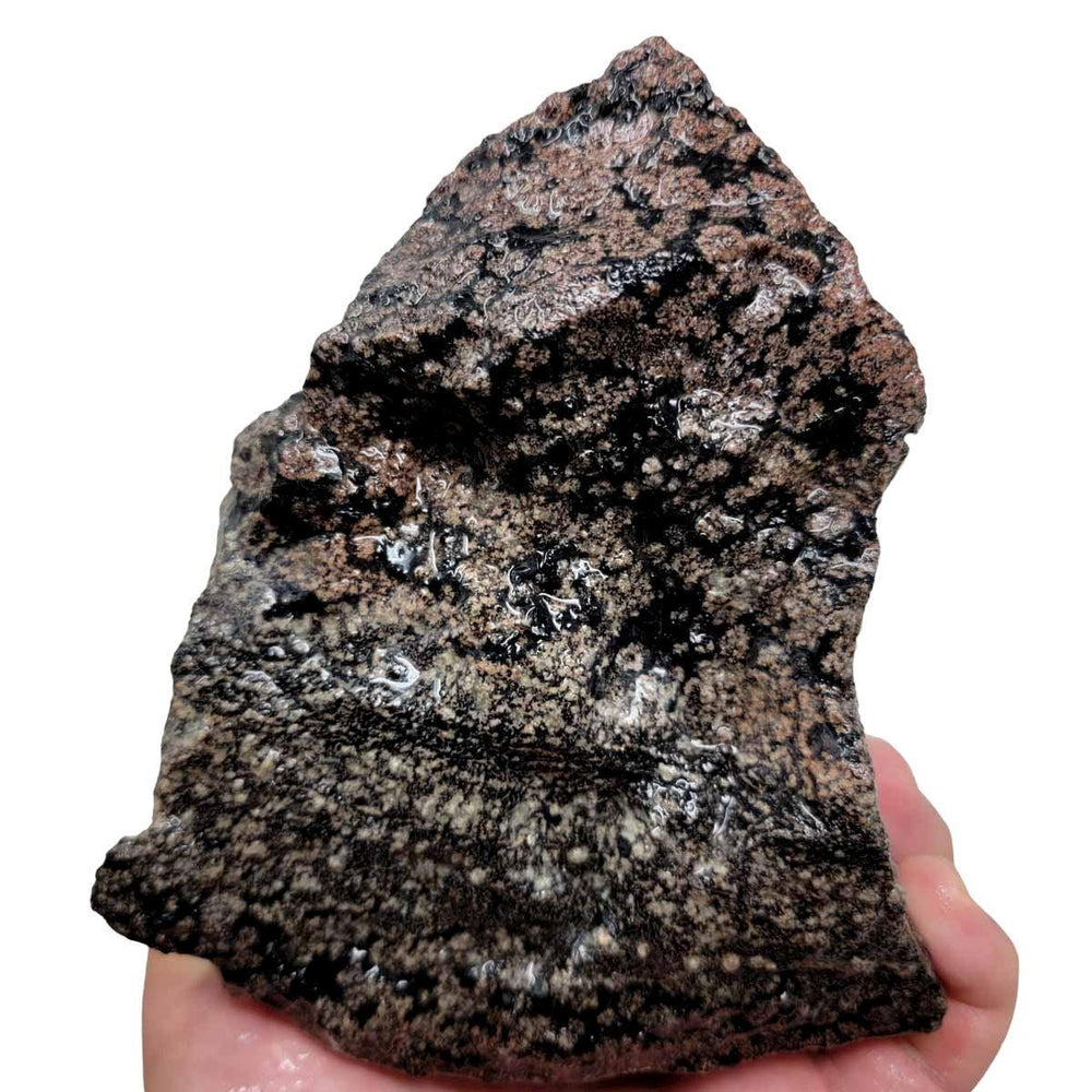 Flower/Fireworks Obsidian Rough Chunk!