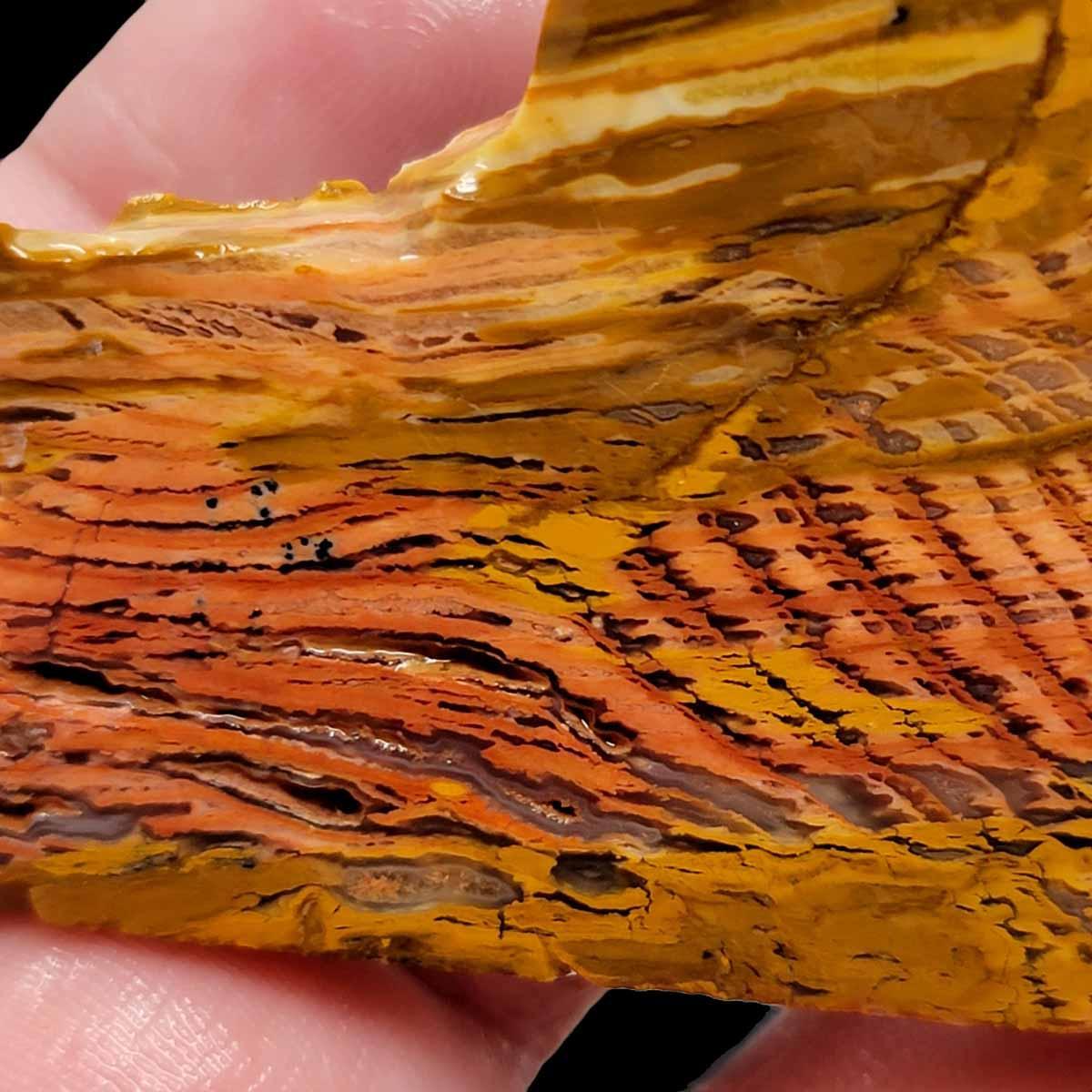 Howardite Rattlesnake Jasper Slab! Lapidary Stone Slab! Flamingoite!