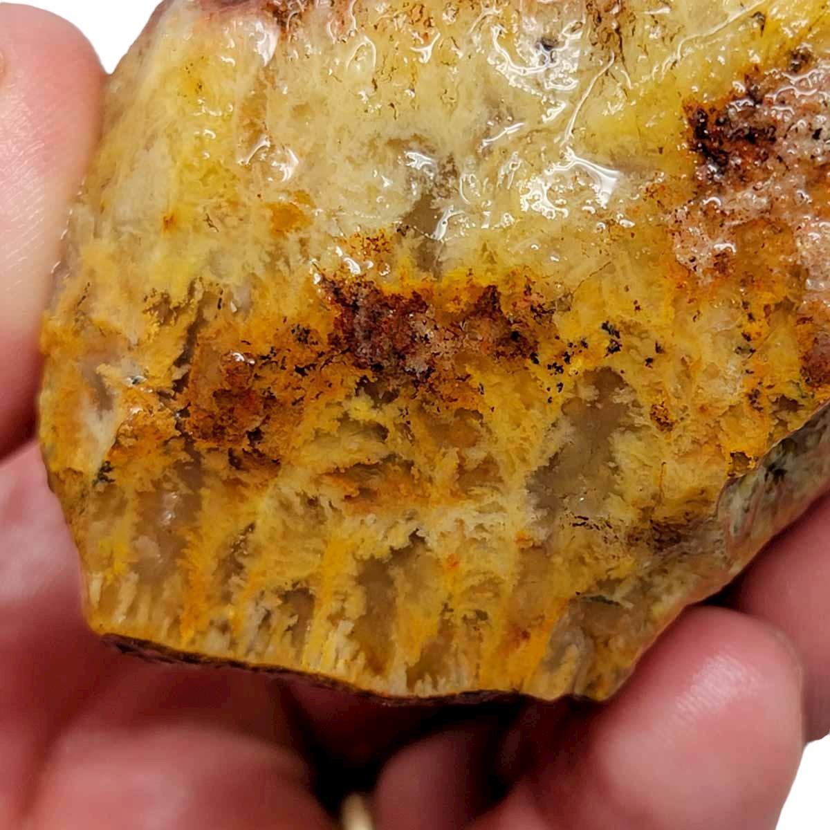 Graveyard Point Plume Agate Rough Chunk!