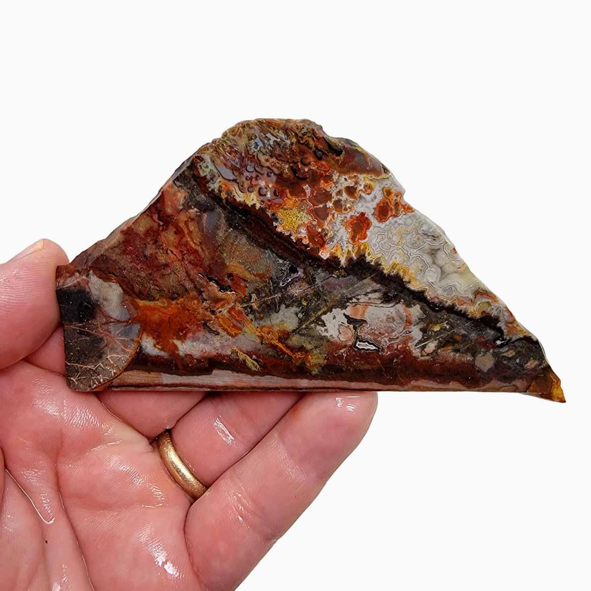 Laguna Lace Agate Slab! Lapidary Stone Slab!