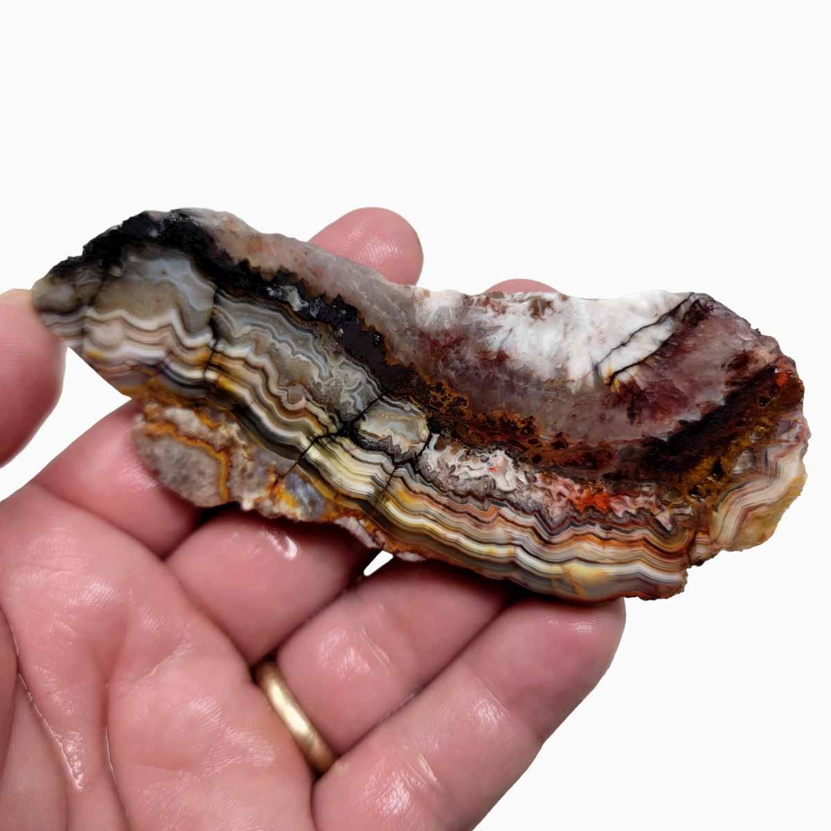 Laguna Lace Agate Slab! Lapidary Stone Slab!