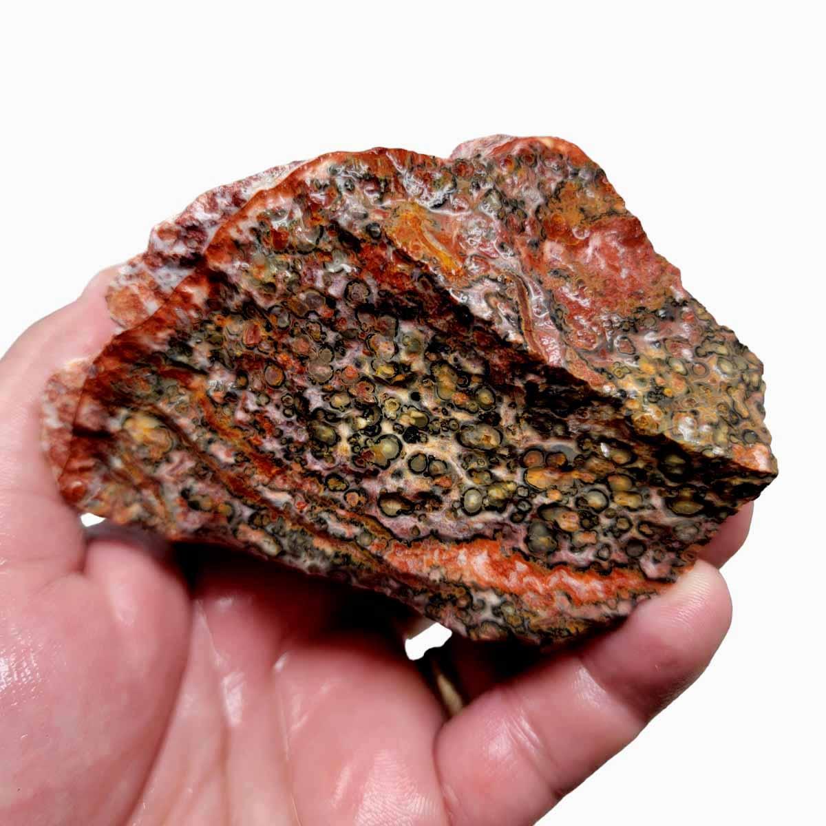 Leopard Skin Rhyolite Rough Chunk!