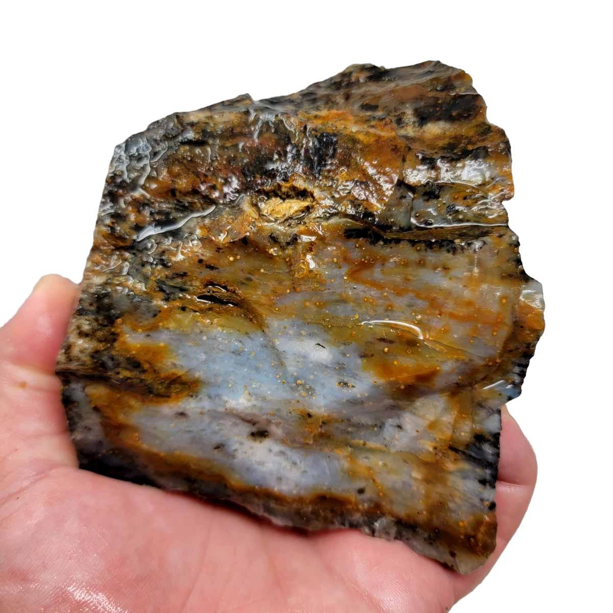 Ochoco Sunset Jasper Rough Chunk!