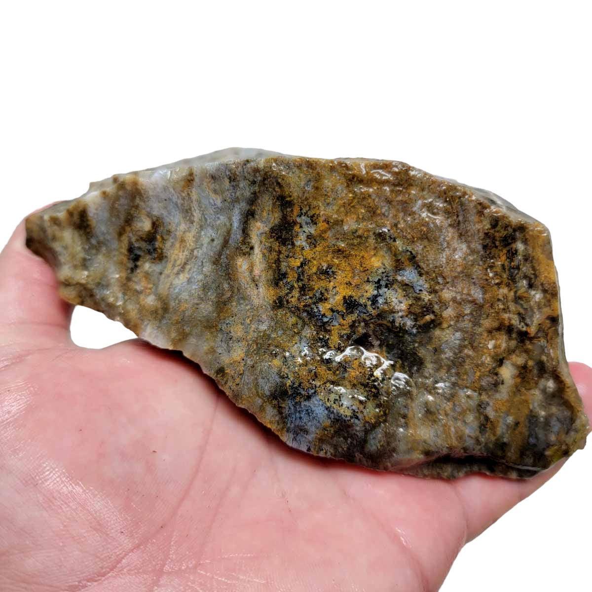 Ochoco Sunset Jasper Rough Chunk!
