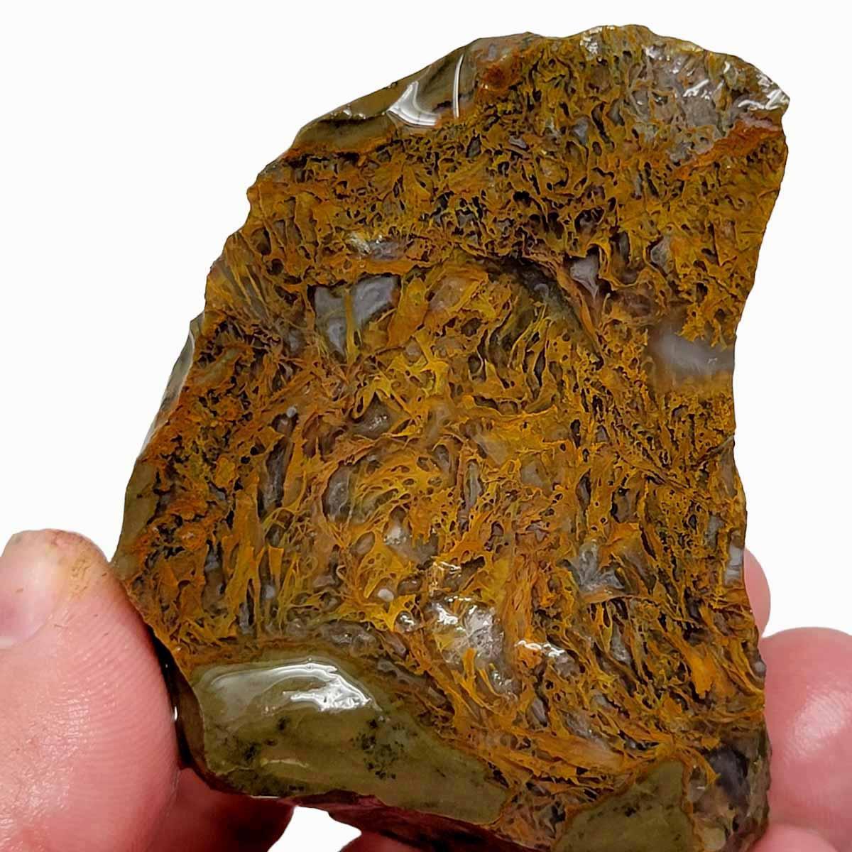 Priday Moss Bed Egg Rough Chunk!