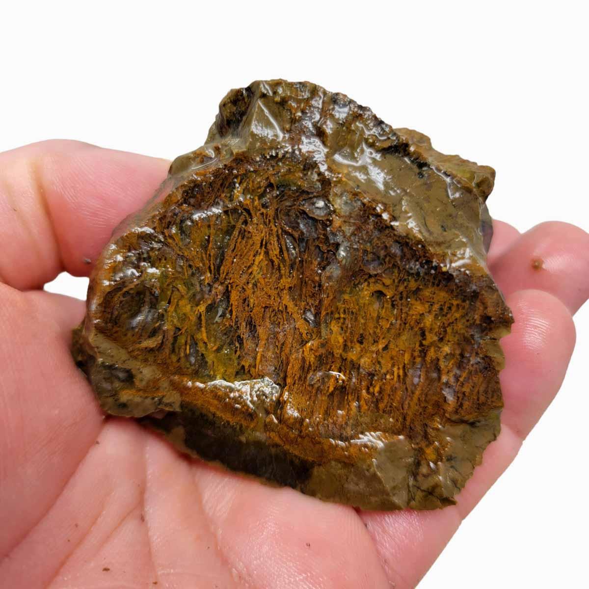 Priday Moss Bed Egg Rough Chunk!