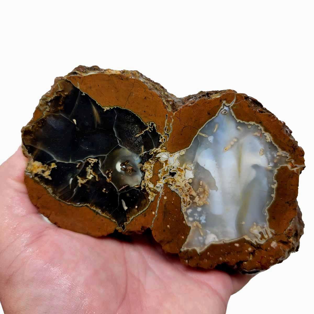Cut Priday Thunderegg Rough Chunk!