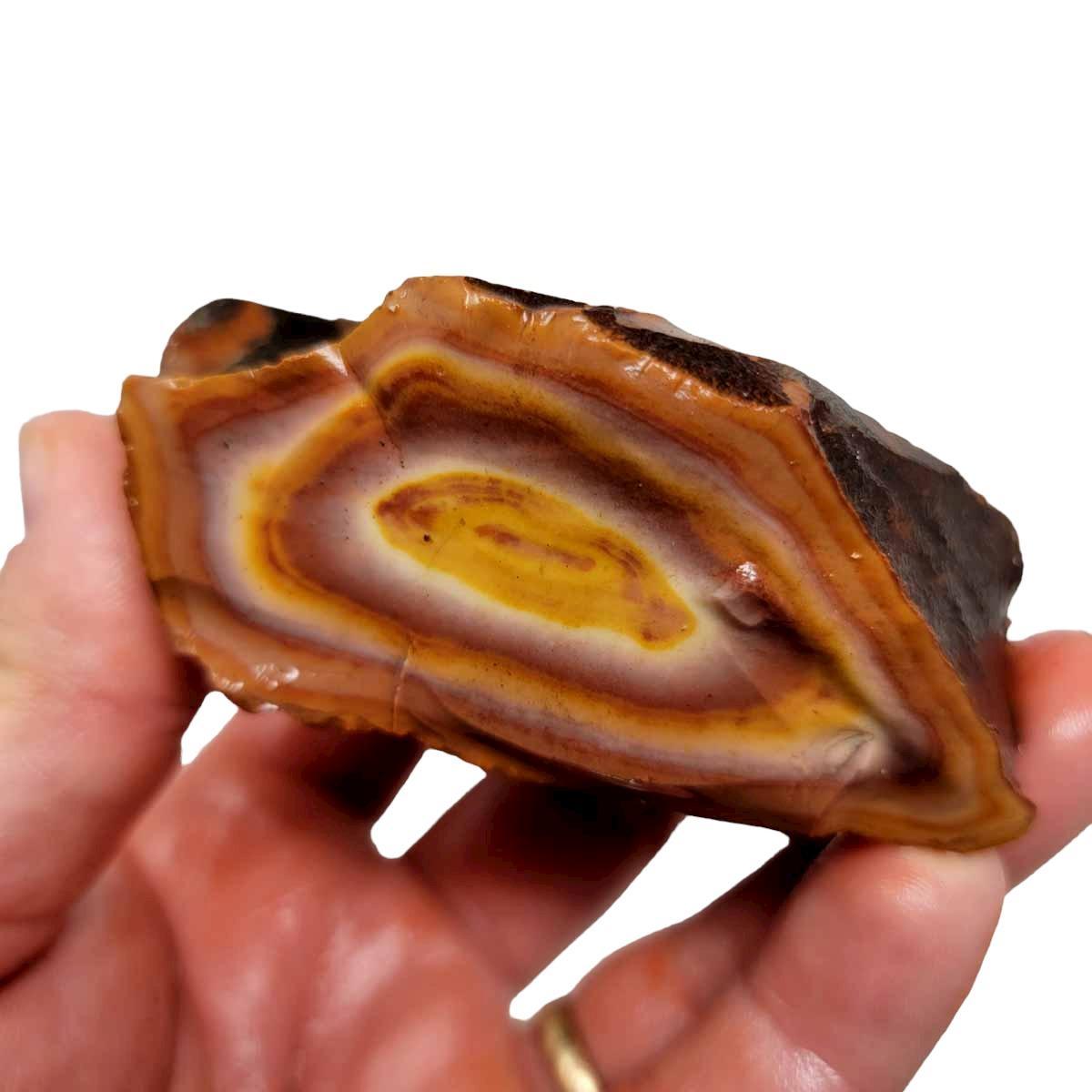 Wonderstone Jasper Rough Chunk!