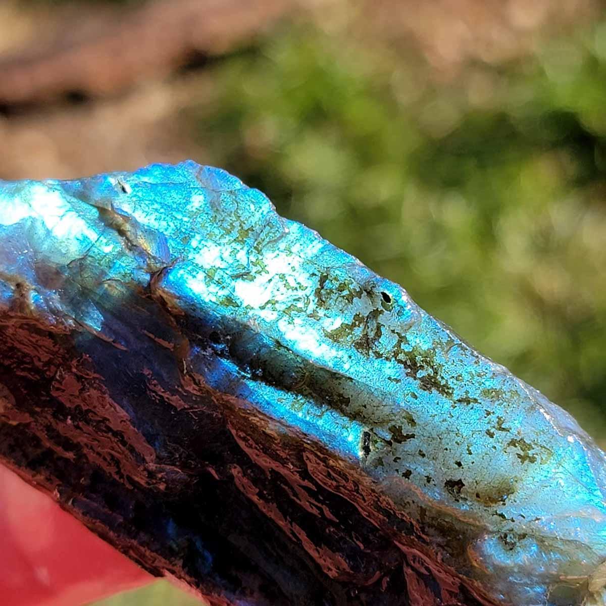 Cabbing Grade Labradorite Trimmer Rough Batch with Good Flash!