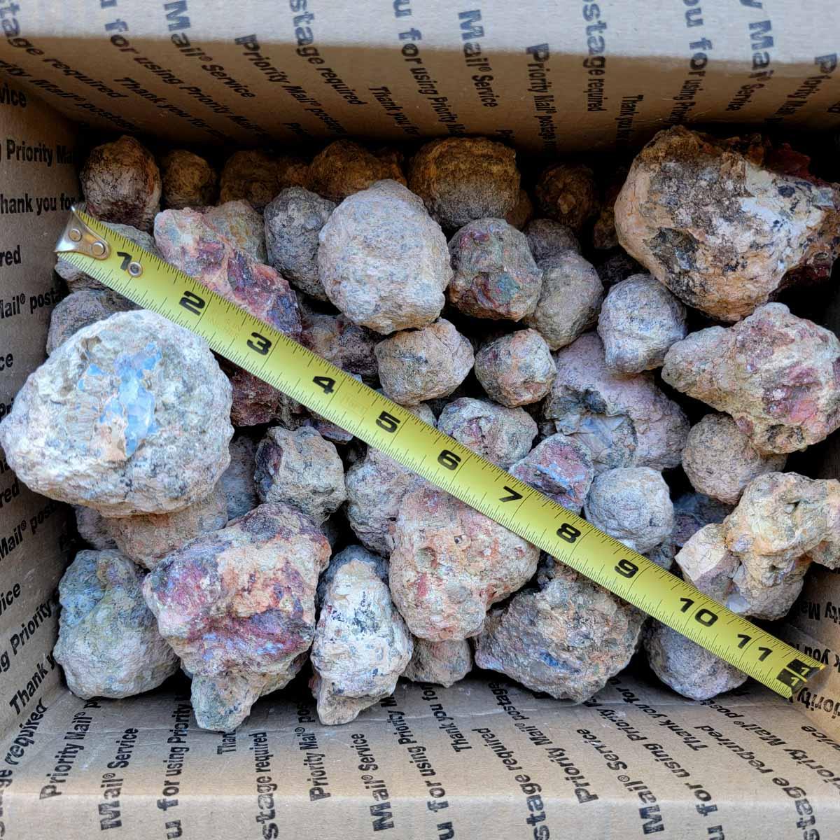 Priday Opal Thunderegg Rough Flatrate!