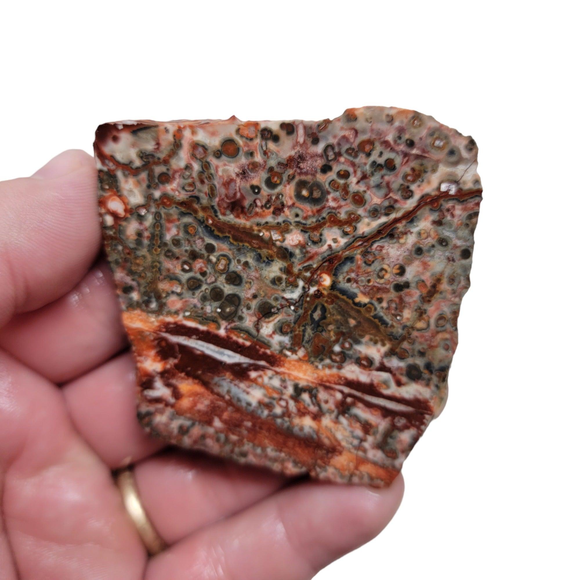 Leopard Skin Rhyolite Slab! Lapidary Stone Slab!