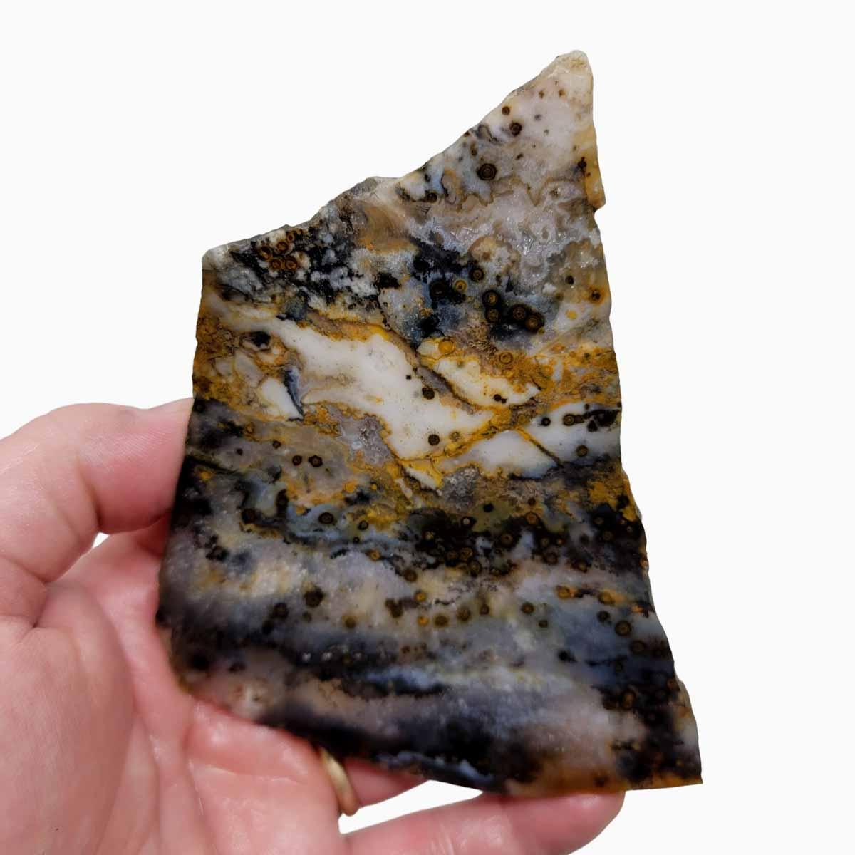 Ochoco Sunset Agate Slab! Lapidary Stone Slab!