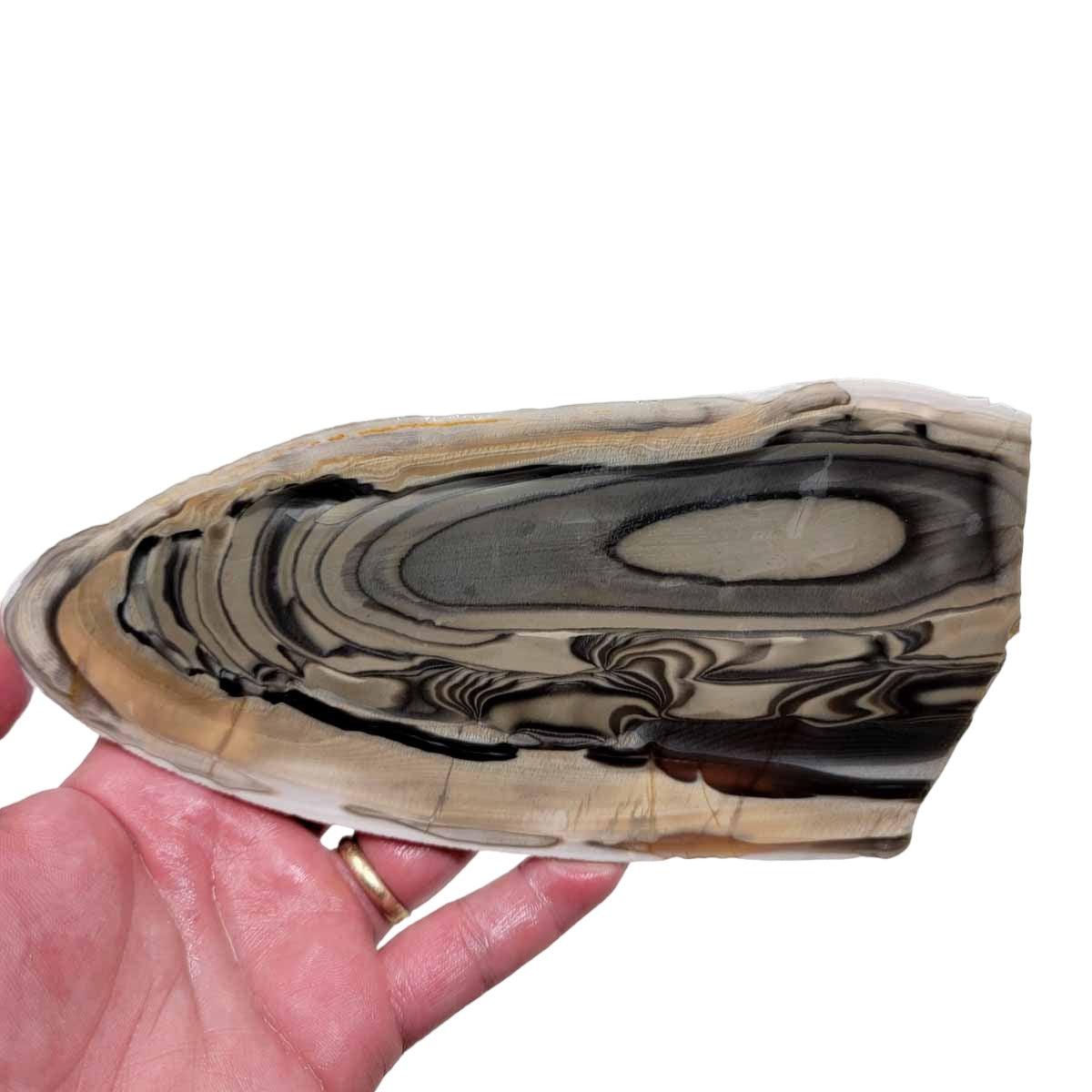 RARE Polish Flint Lapidary Stone Slab!