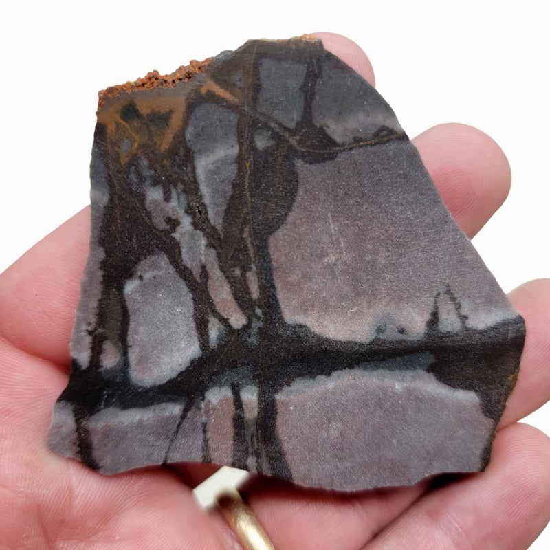 Australian Outback Jasper Slab! Lapidary Stone Slab!