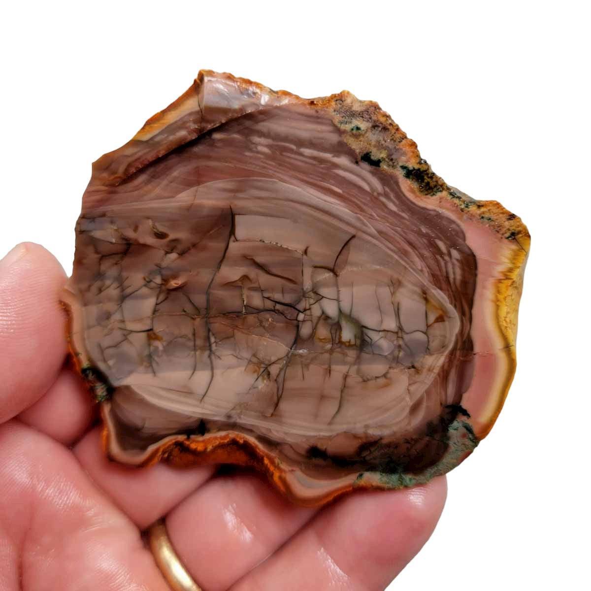 Royal Imperial Jasper Slab! Lapidary Stone Slab!