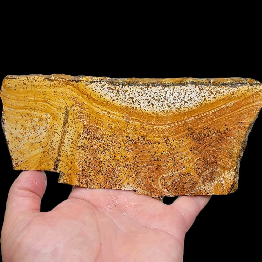Sandstone Slab! Lapidary Stone Slab!