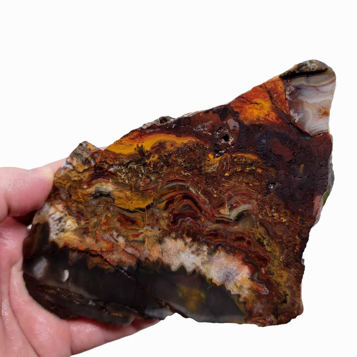 Sarape Jasper Slab! Lapidary Stone Slab! Crazy Lace Relative