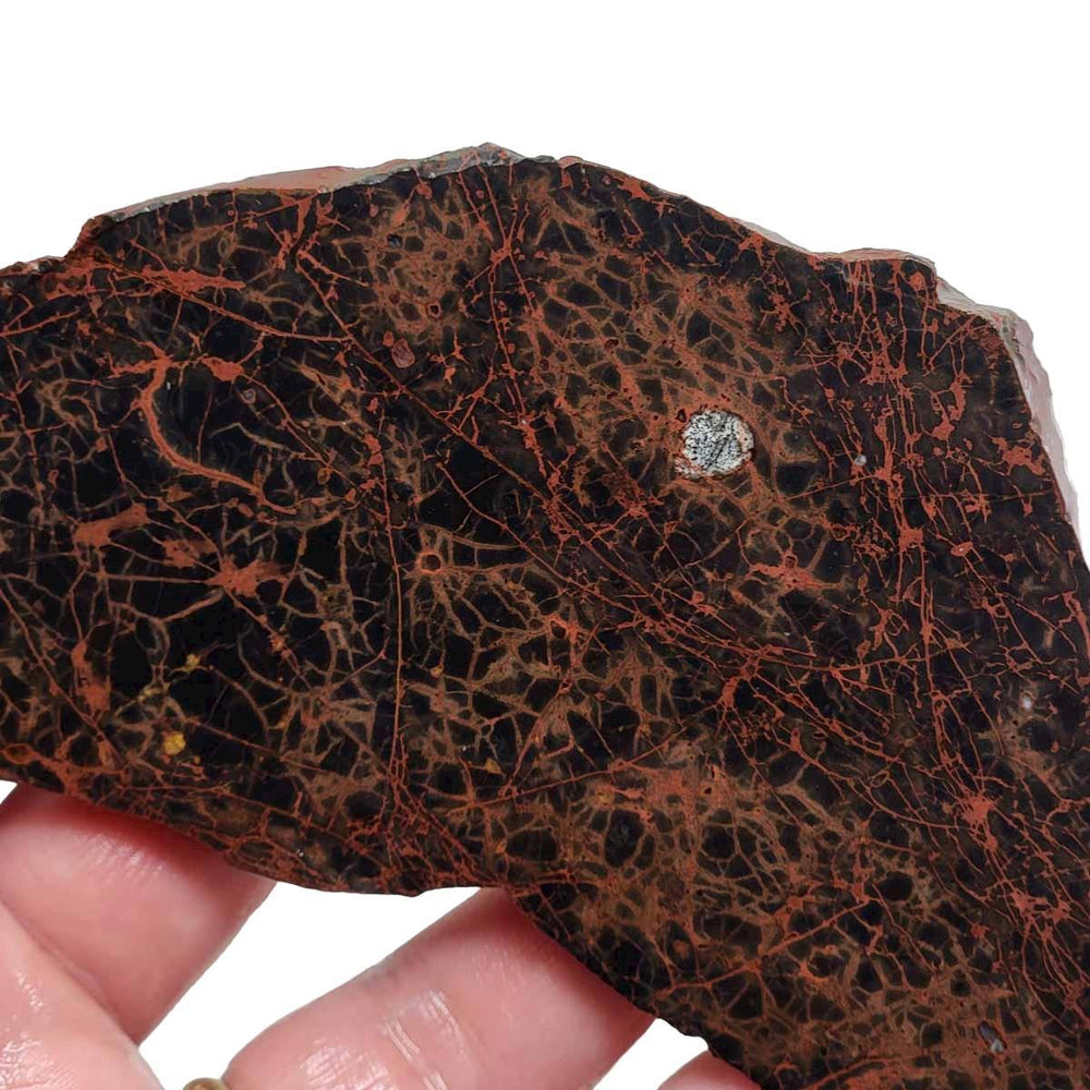 Spiderman Jasper Slab! Lapidary Stone Slab!