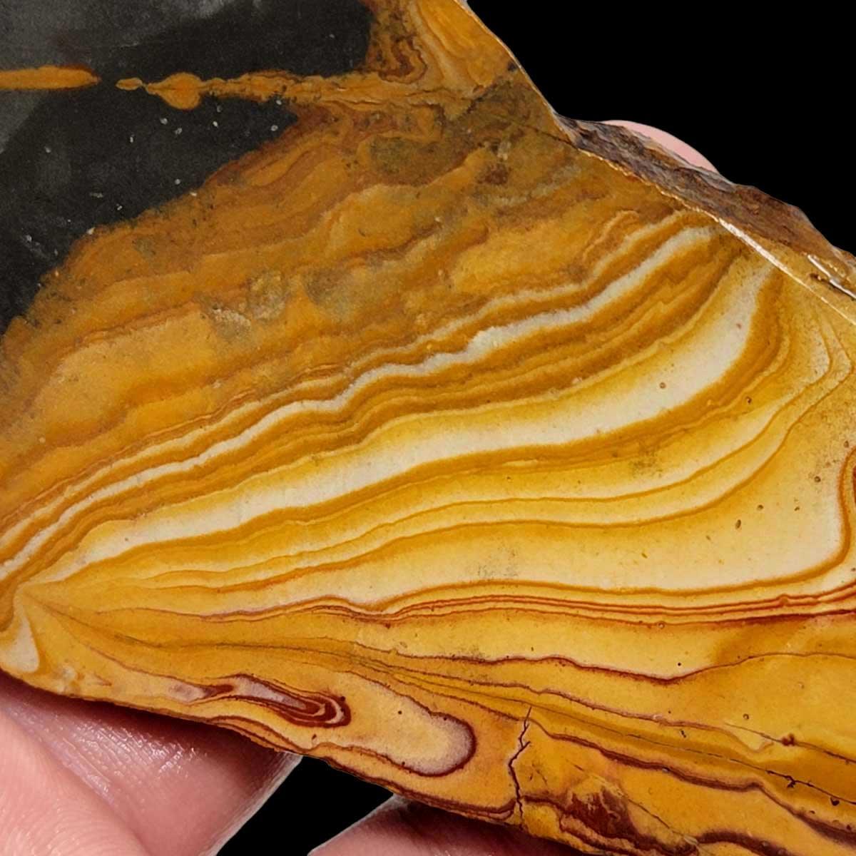 Utah Wonderstone Jasper Slab! Lapidary Stone Slab!