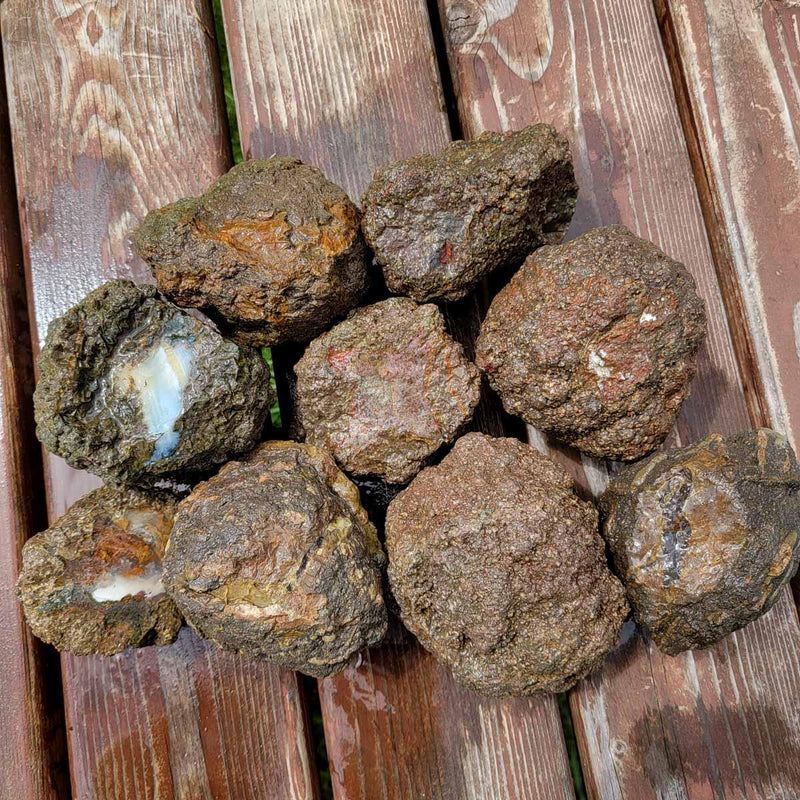 Uncut Oregon Lucky Strike Thundereggs Rough! Lapidary Wholesale!